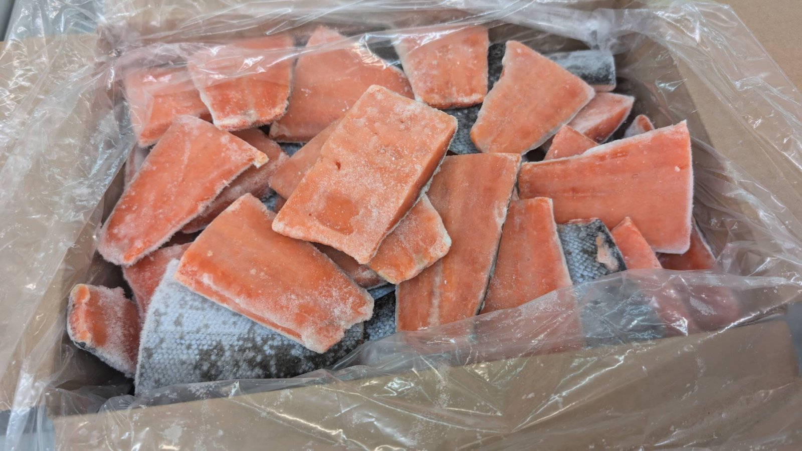 Wild Salmon Fillet, 10 lbs per box – Li Sha Produce